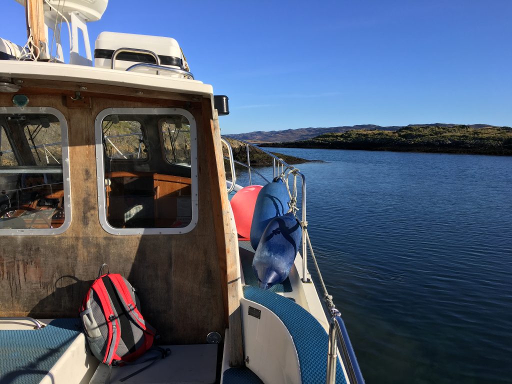 The secrets of St Cormac – The Hazel Tree