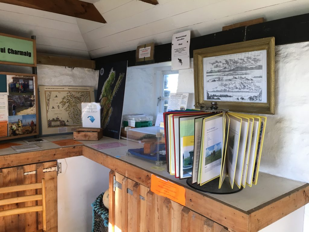 The secrets of St Cormac – The Hazel Tree