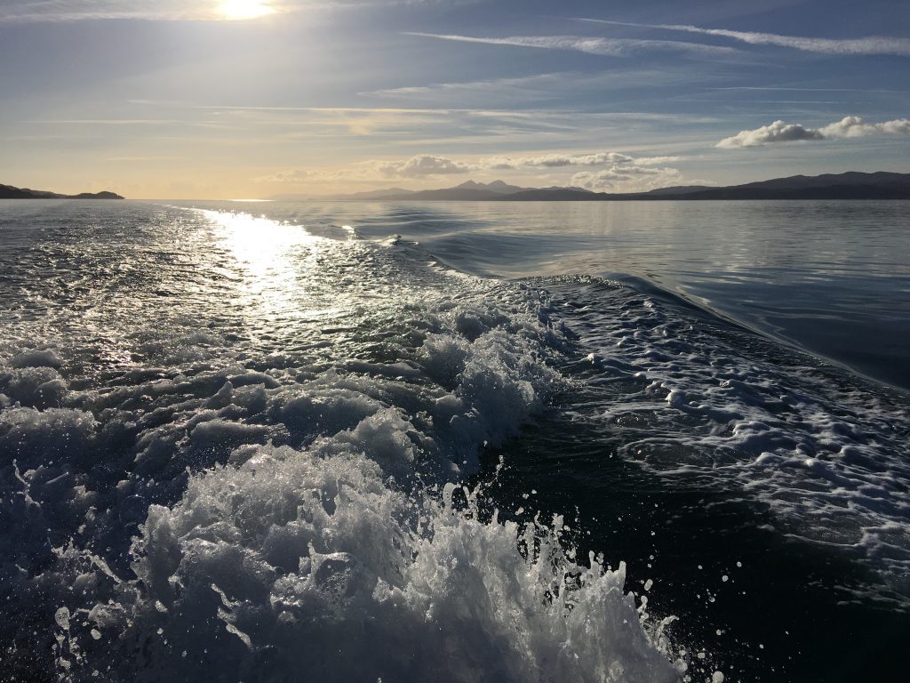 The secrets of St Cormac – The Hazel Tree