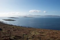 The secrets of St Cormac – The Hazel Tree