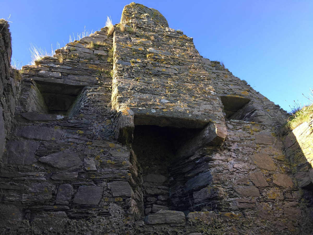 The secrets of St Cormac – The Hazel Tree