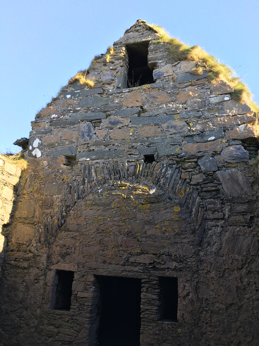 The secrets of St Cormac – The Hazel Tree