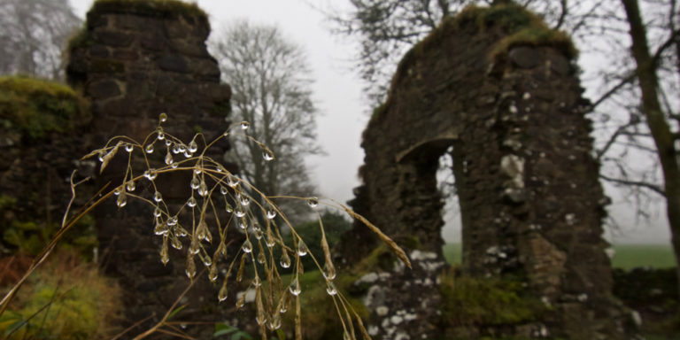 Saddell Abbey – in the footsteps of Somerled – The Hazel Tree