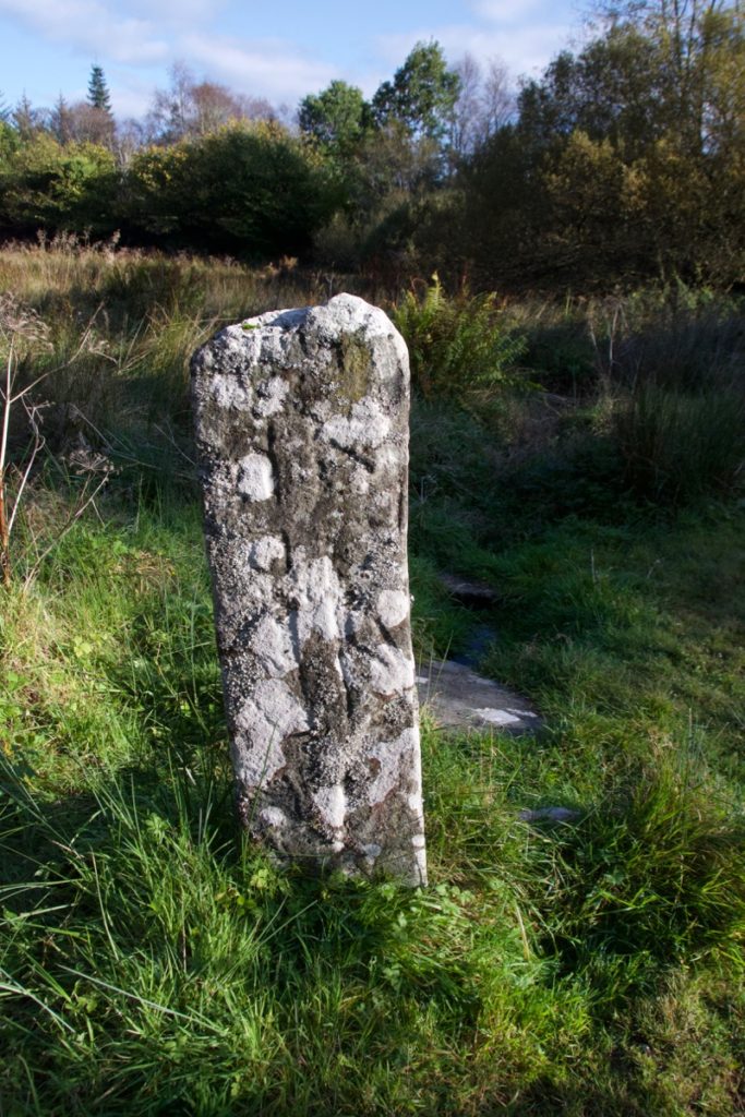 Finding the Faery Isles – The Hazel Tree