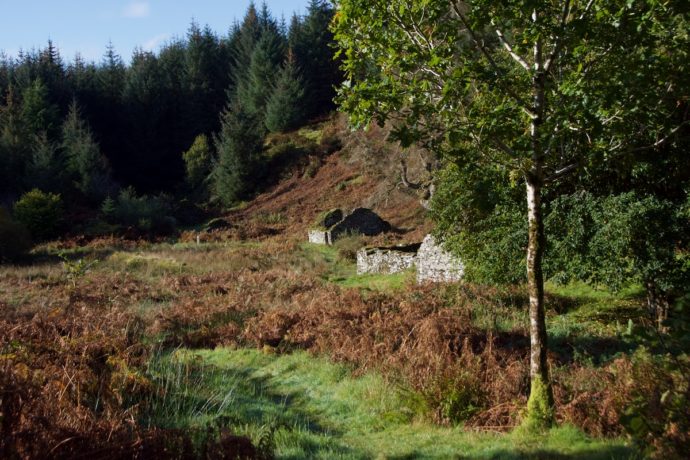 Finding the Faery Isles – The Hazel Tree