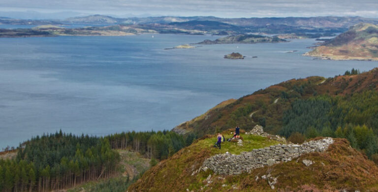 Castle Dounie – The Hazel Tree