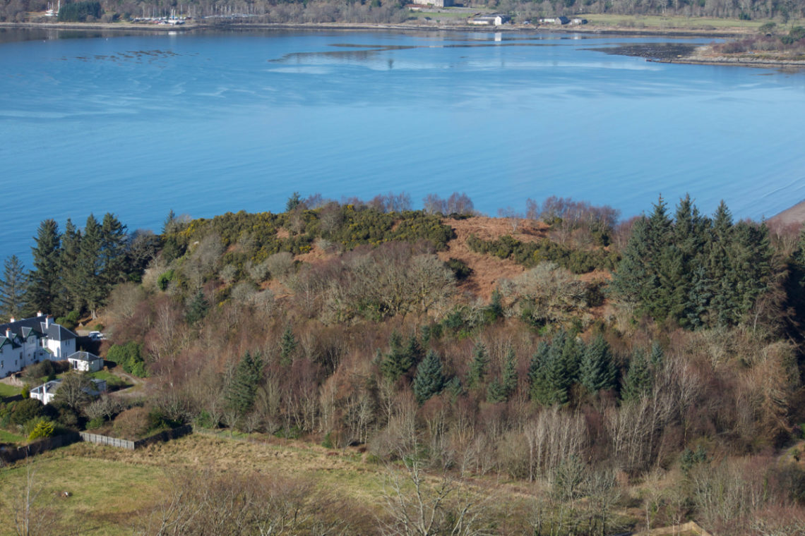 Deirdre and the Sons of Uisneach – The Hazel Tree