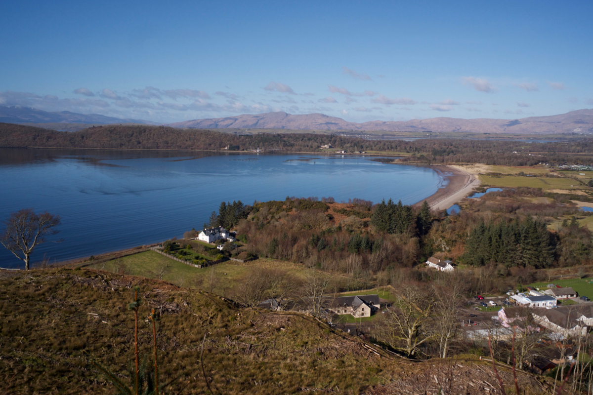 Deirdre and the Sons of Uisneach – The Hazel Tree