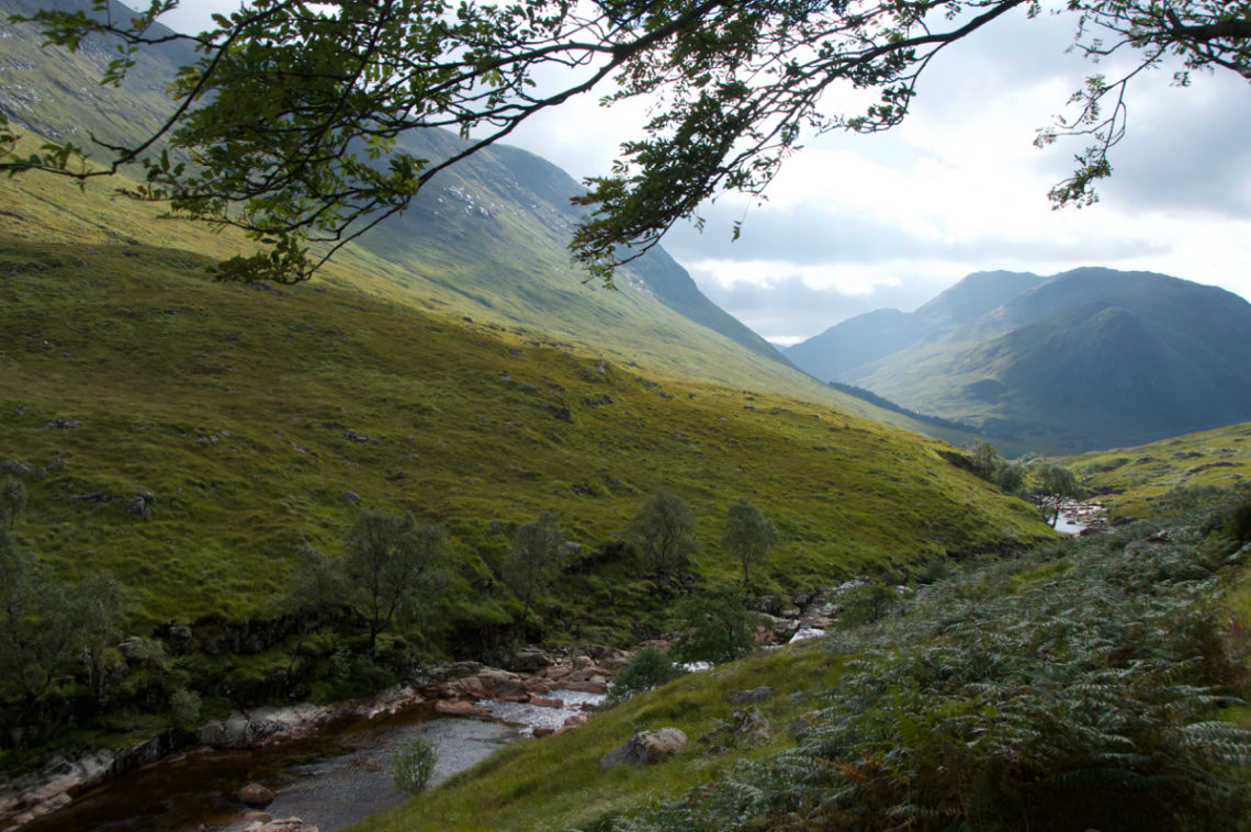 Deirdre and the Sons of Uisneach – The Hazel Tree