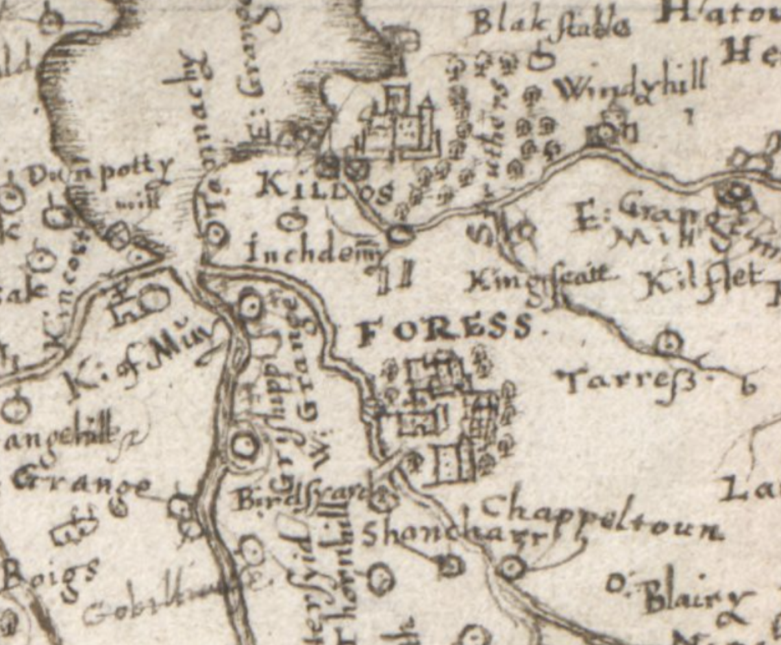 Sueno’s Stone – The Hazel Tree