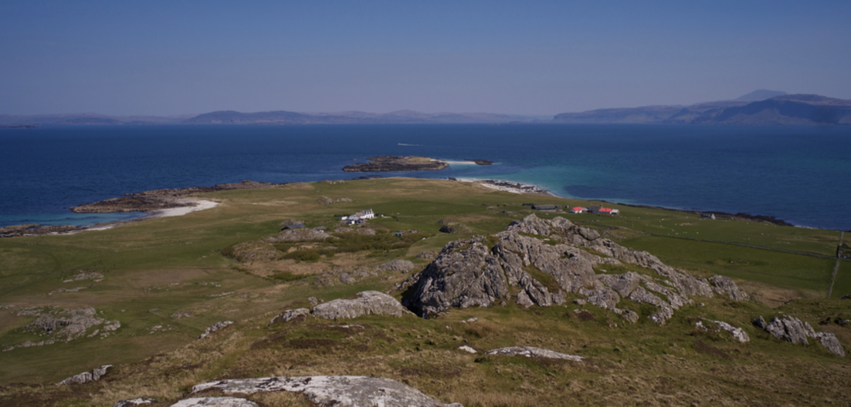 The secrets of St Cormac – The Hazel Tree