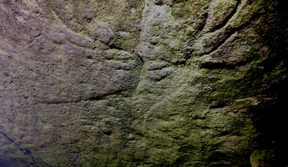 Deer carvings at Dunchraigaig – The Hazel Tree